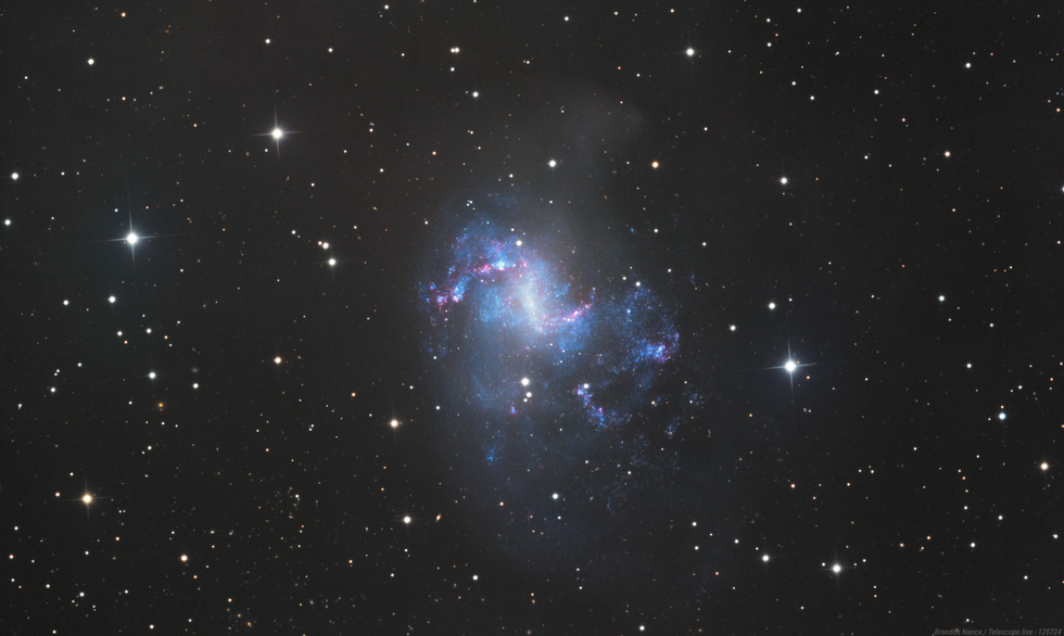 NGC 1313 | Telescope Live